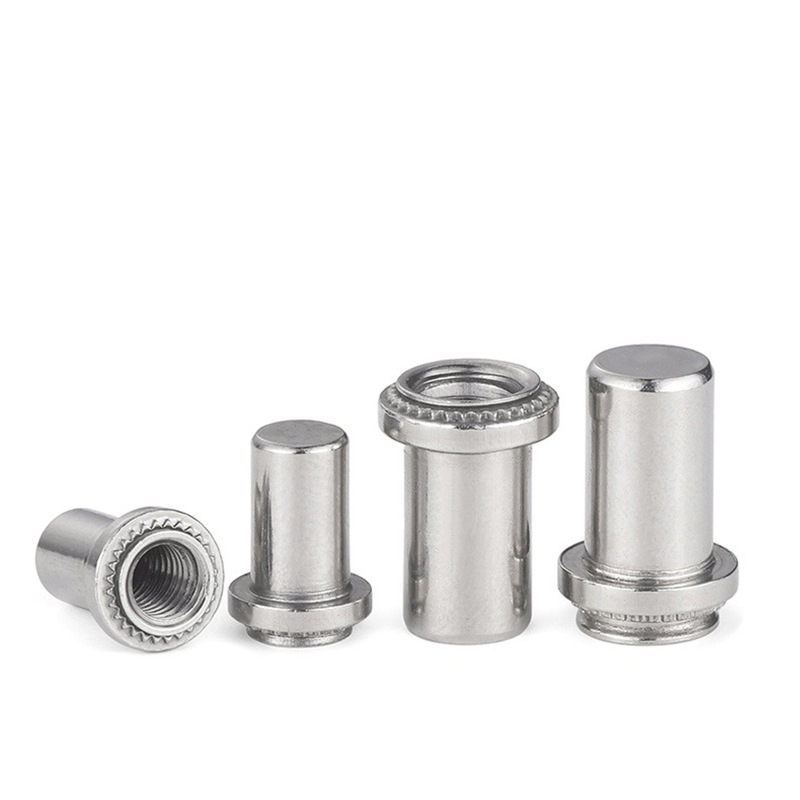 M4 M5 M6 M8 M10 Stainless Steel 304 316 Passivated Flat Round Head Self ...