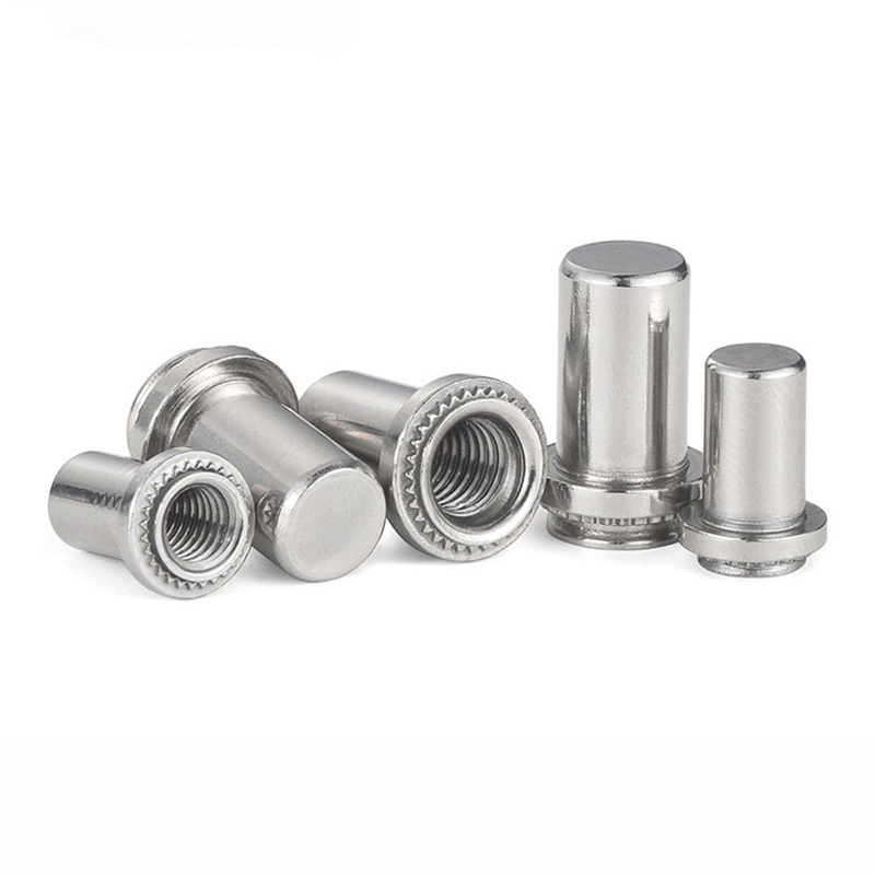 M4 M5 M6 M8 M10 Stainless Steel 304 316 Passivated Flat Round Head Self ...