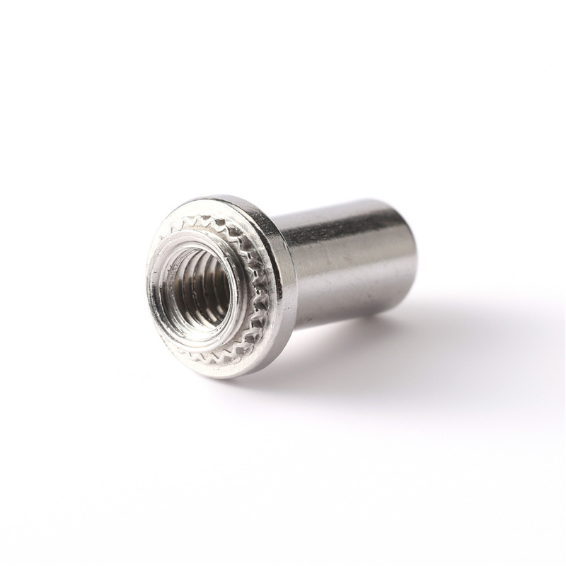 M4 M5 M6 M8 M10 Stainless Steel 304 316 Passivated Flat Round Head Self ...