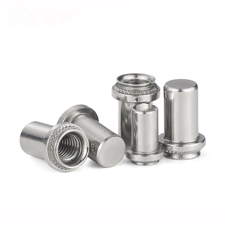 M4 M5 M6 M8 M10 Stainless Steel 304 316 Passivated Flat Round Head Self ...